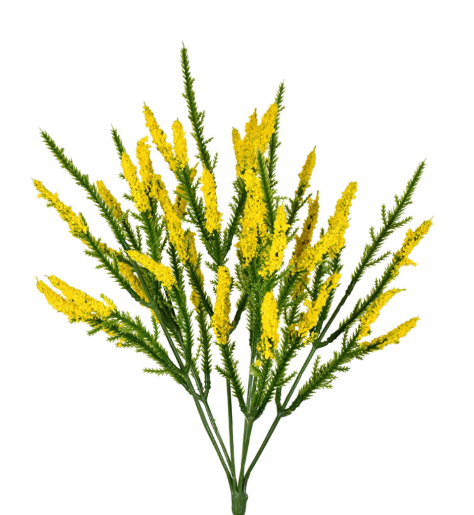 Blazing Star Bush | The Love Your Space Place