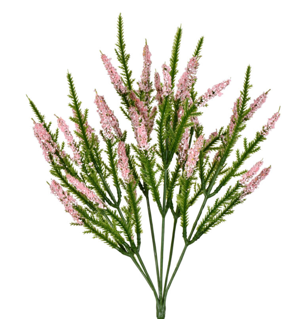 Blazing Star Bush | The Love Your Space Place